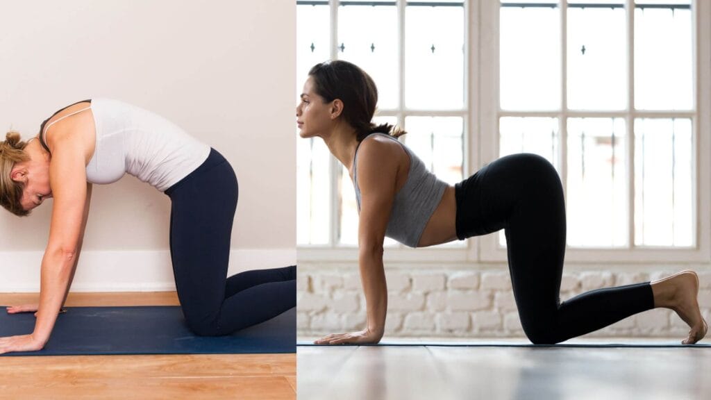 A daily stretching routine every writer can't ignore